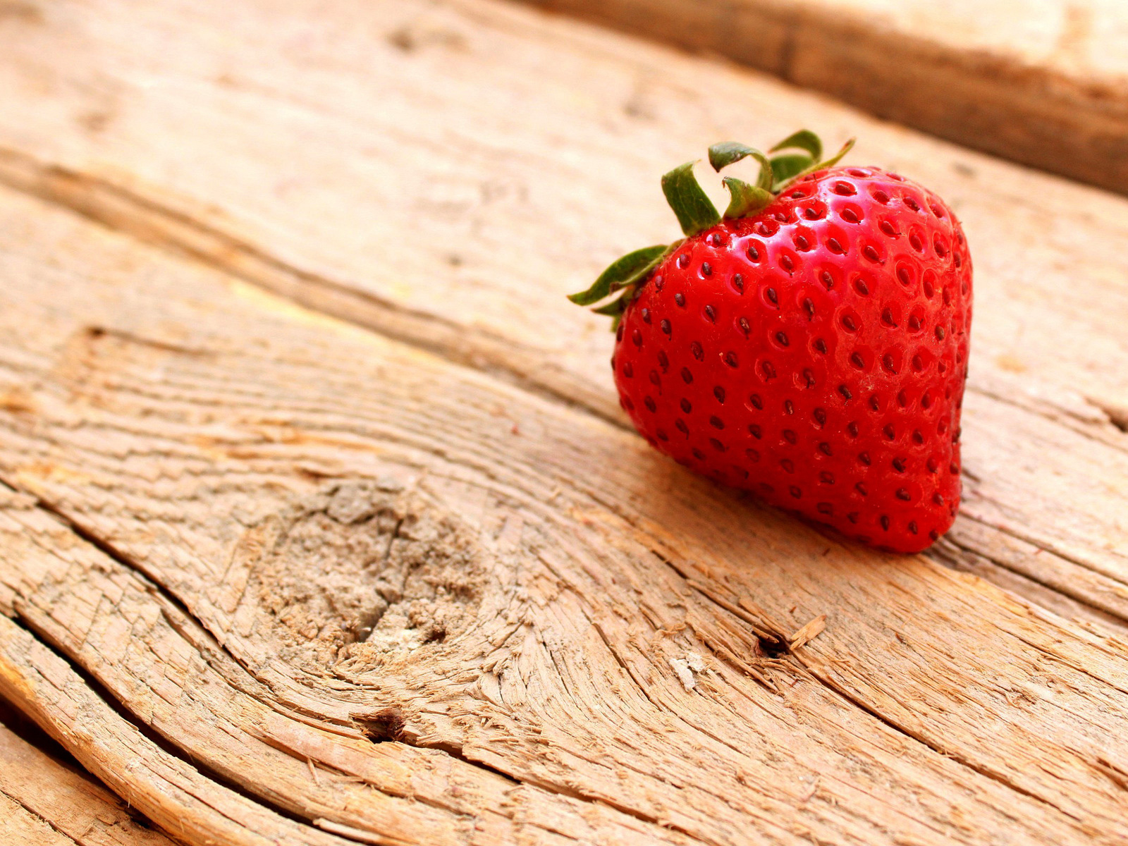 Fresh Strawberries Photography HD Wallpapers ~ Desktop Wallpaper