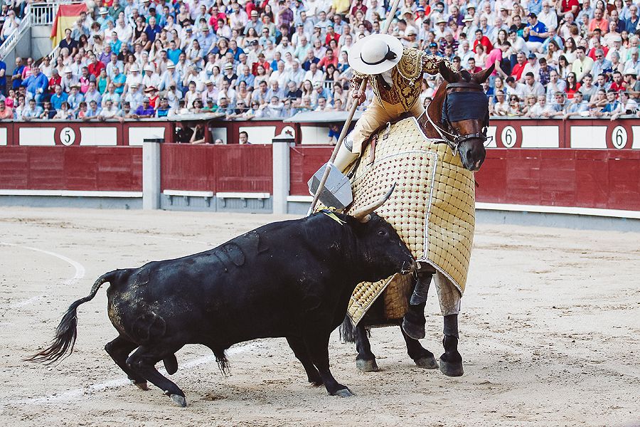 TOROS EN MONTORO: 2017