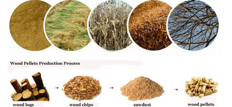 Biomass Pellet Machine The Process Flow Of Pine Biomass Pellet Fuel