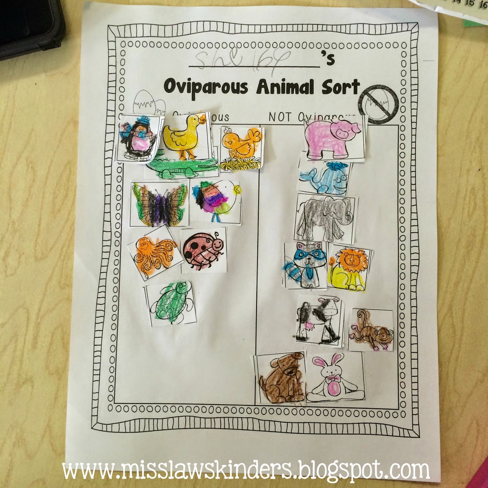 Miss Law's Kinders: Oviparous Animal Life Cycles-{Day 2: All About ...