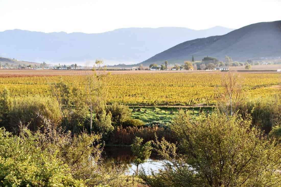 .: Robertson Wine Valley's Wacky Wine Weekend 10. Arendsig