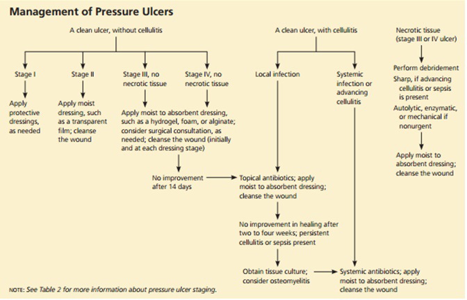 BRIOrthopaedi: Ulkus Dekubitus
