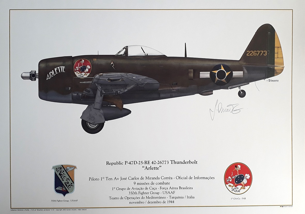 SI VIS PACEM, PARA BELLUM: Il Republic P-47 Thunderbolt, soprannominato ...