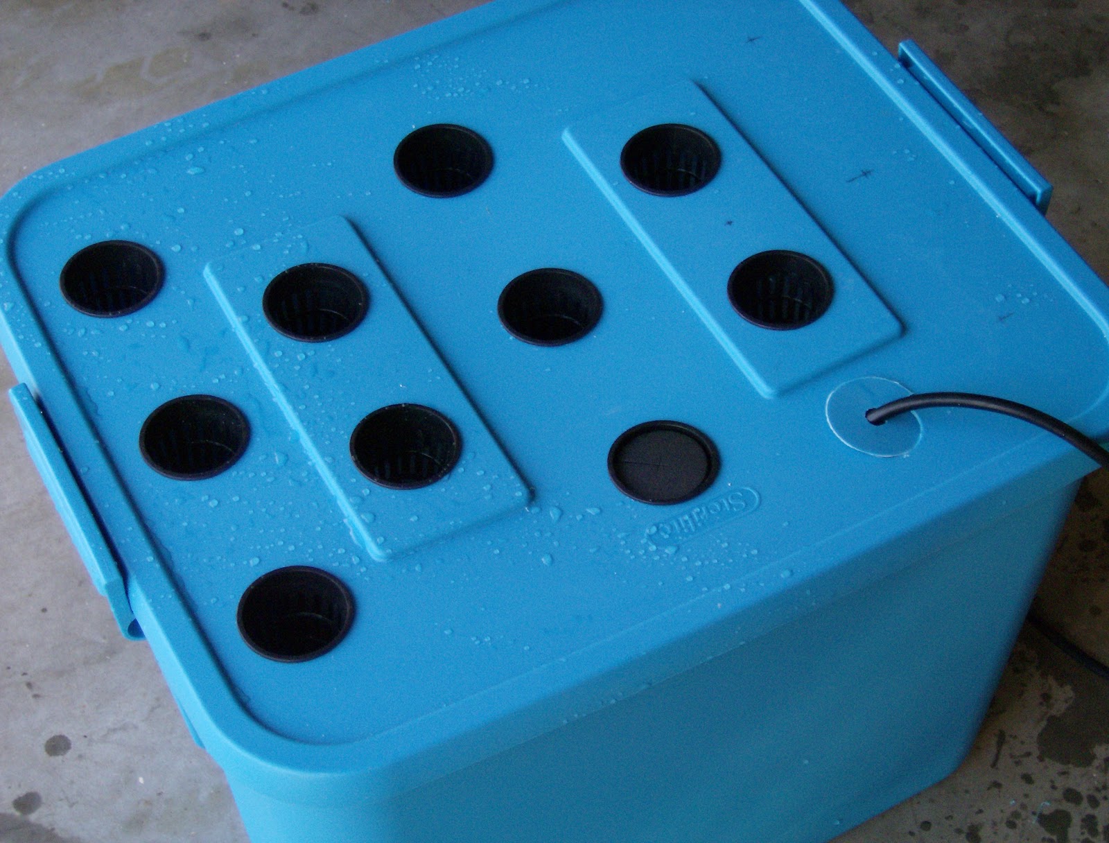 The Aquaponics Gardener: DIY EZ Cloner for Under $50 bucks