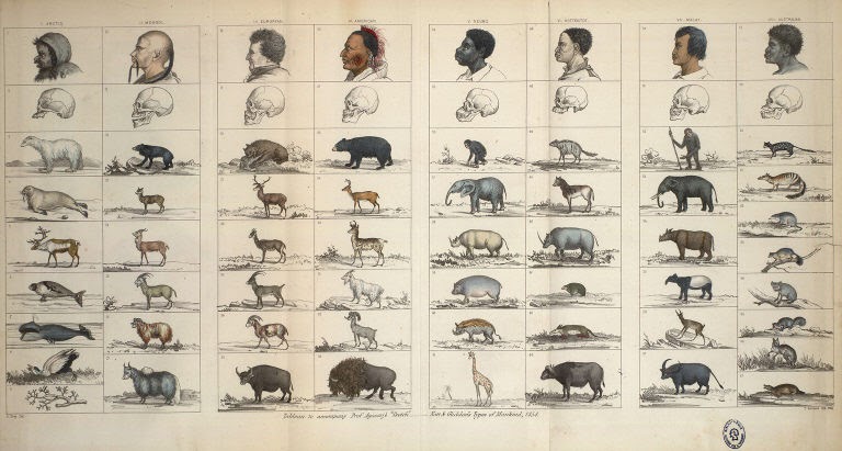 Until Darwin: Science and the Origins of Race: Eight Classic works in ...