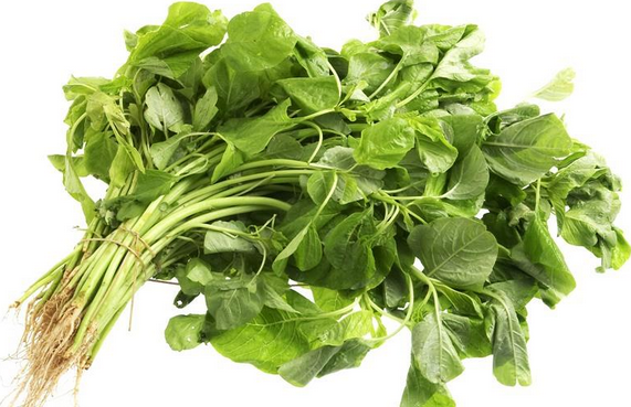 Koleksi Kekinian 25+ Sketsa Gambar Pohon Bayam