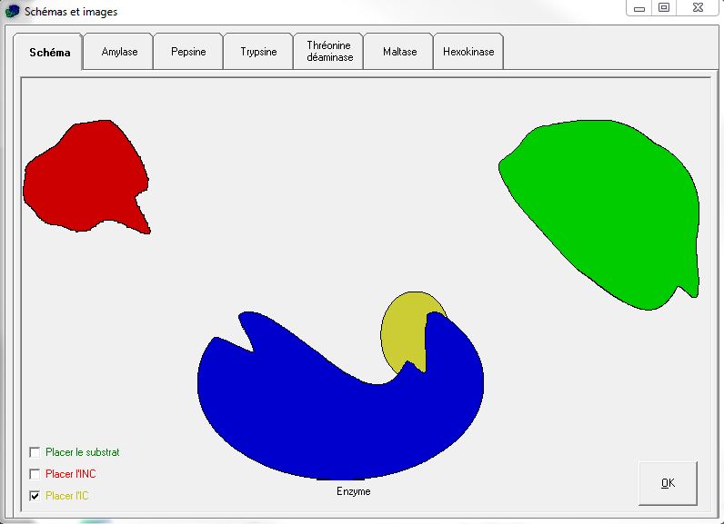 Club SVT Camille Guérin poitiers: TERMINALE SPE SVT THEME 3 TP 2 ...