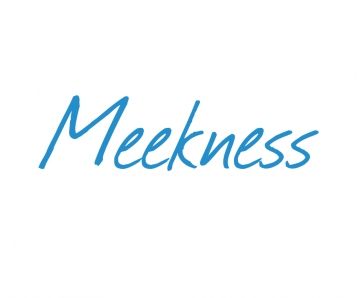 The Beauty of Meekness (Meekness, Part 3)