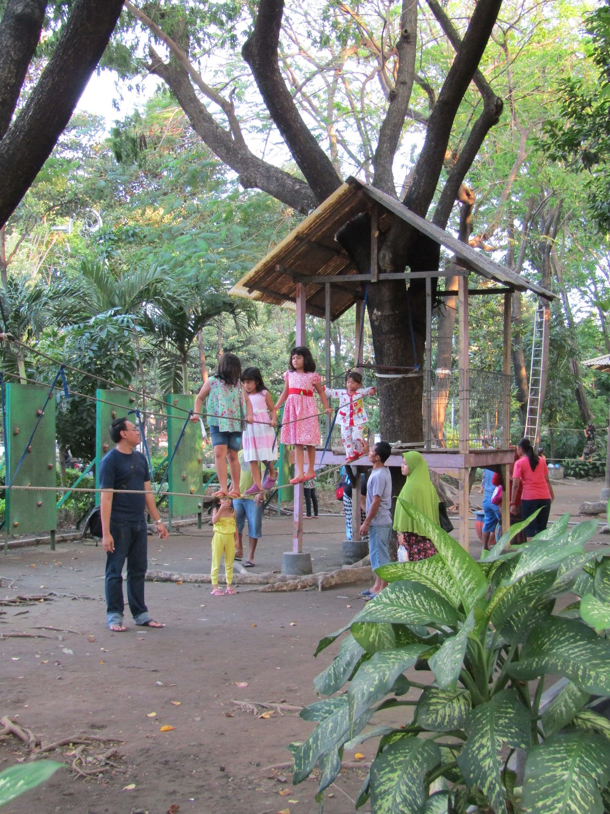 surabayakeren: Taman Flora Bratang, Taman Wisata Murah di Surabaya