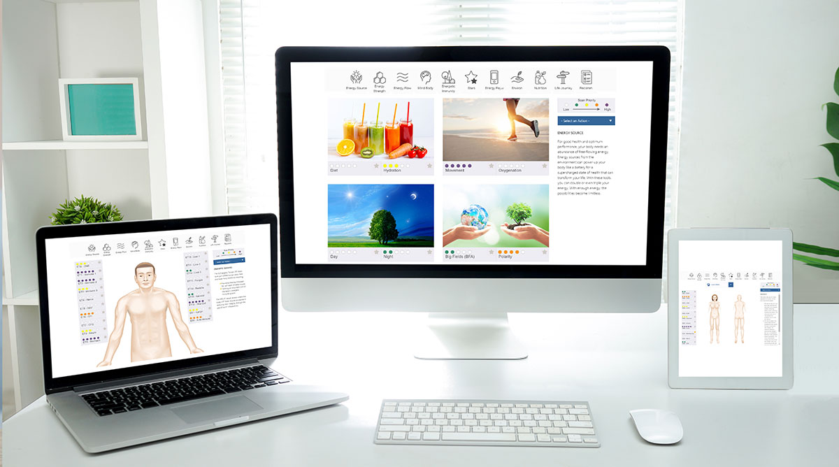 Hands On Healthy: NES Health Bioenergetic Body Field Scans