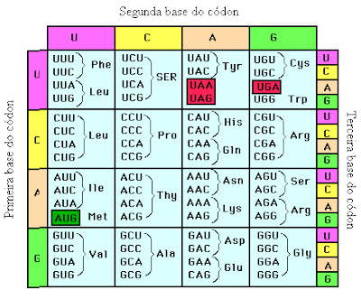 Ciencias Naturales: 2. 9-1 TEMA: CODIGO GENETICO