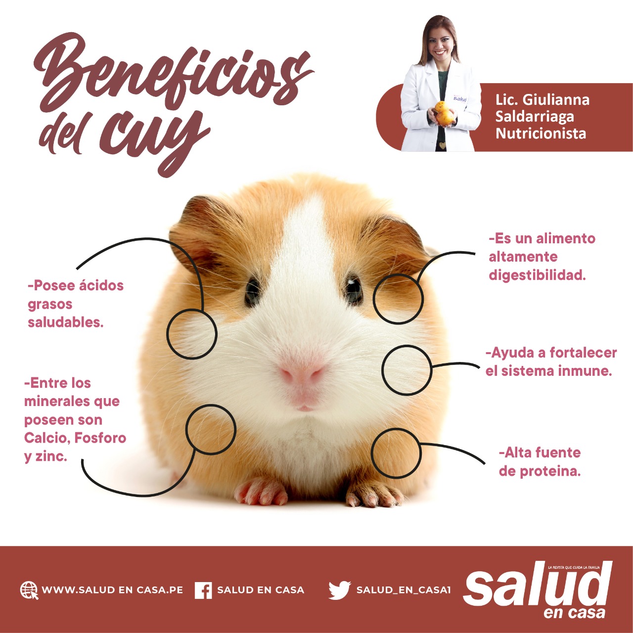 La carne de cuy es esencial para combatir el cáncer y enfermedades cardiovasculares - Salud en ...