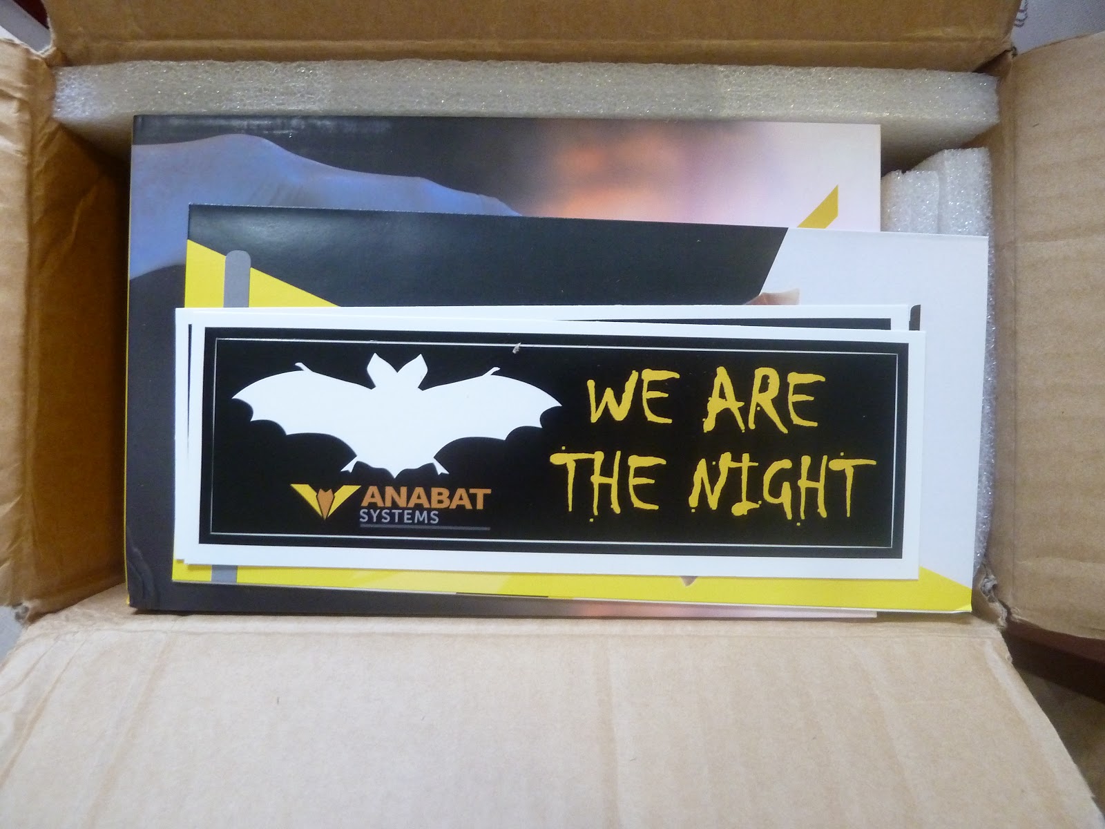 Bat Detector Reviews: Review Of The Anabat Swift Bat Detector from ...
