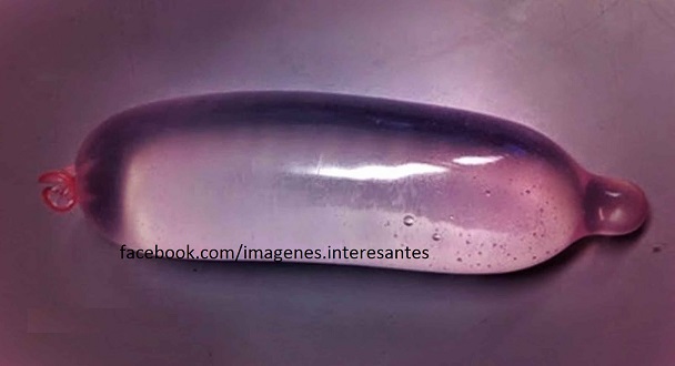 6 Diferentes Formas De usar un condón que te salvaran la vida Más De ...