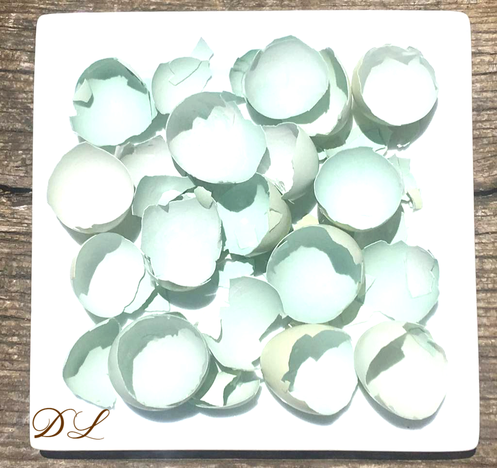 EL PODER DE LOS RITUALES: LA CASCARILLA Y COMO HACERLA