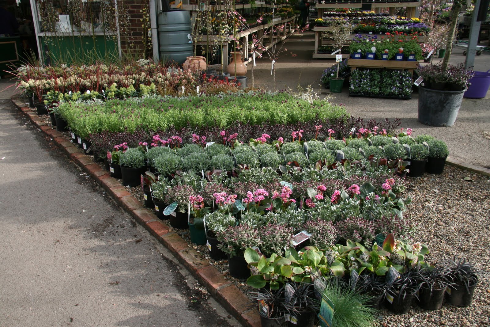 sophiepercival: Garden Centre displays