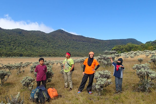 Pengalaman Pertama Mengajak Anak Mendaki Gunung Gede via Gunung Putri