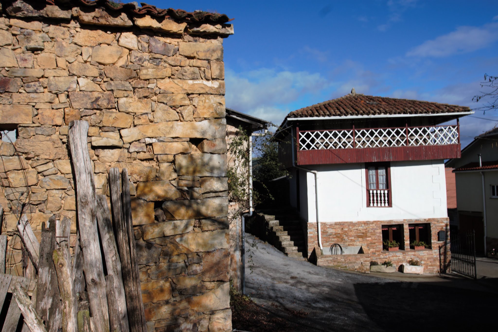 El rincón del entomólogo : La Bouga