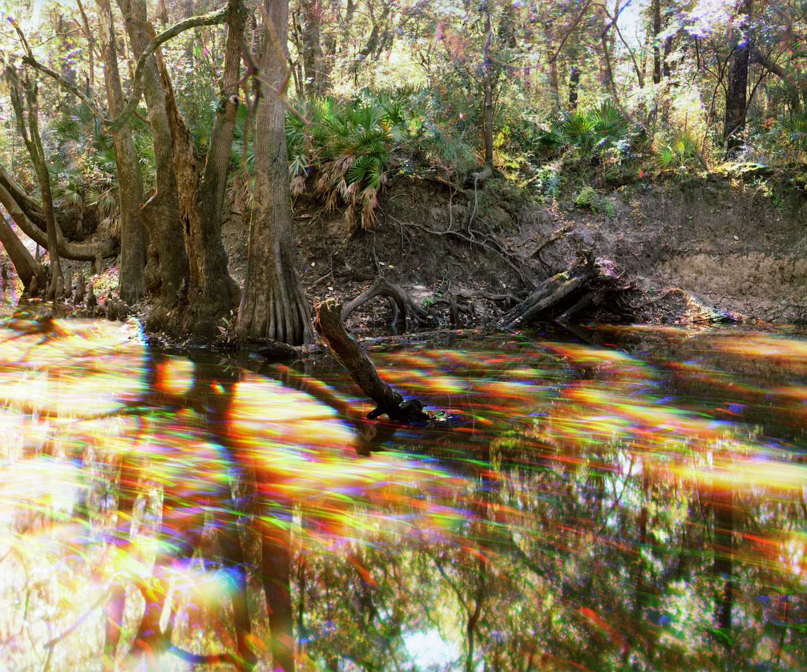 Valdosta in Film: Tri-Color Photographs