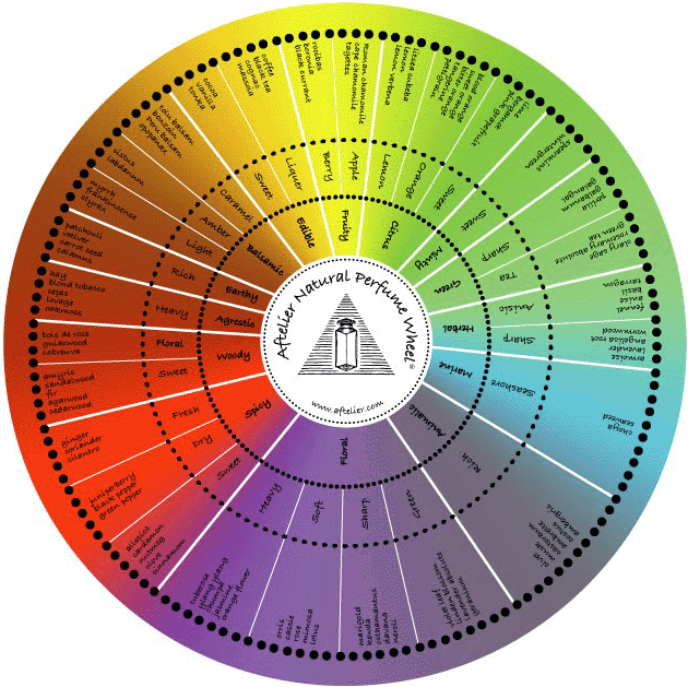 Beauty and Beyond....: Part 1 - Fragrance: what's it all about?
