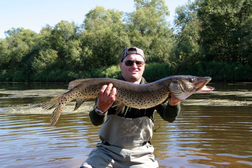 Chavanga Fish Blog: Khabarovsk Taimen fishing tour