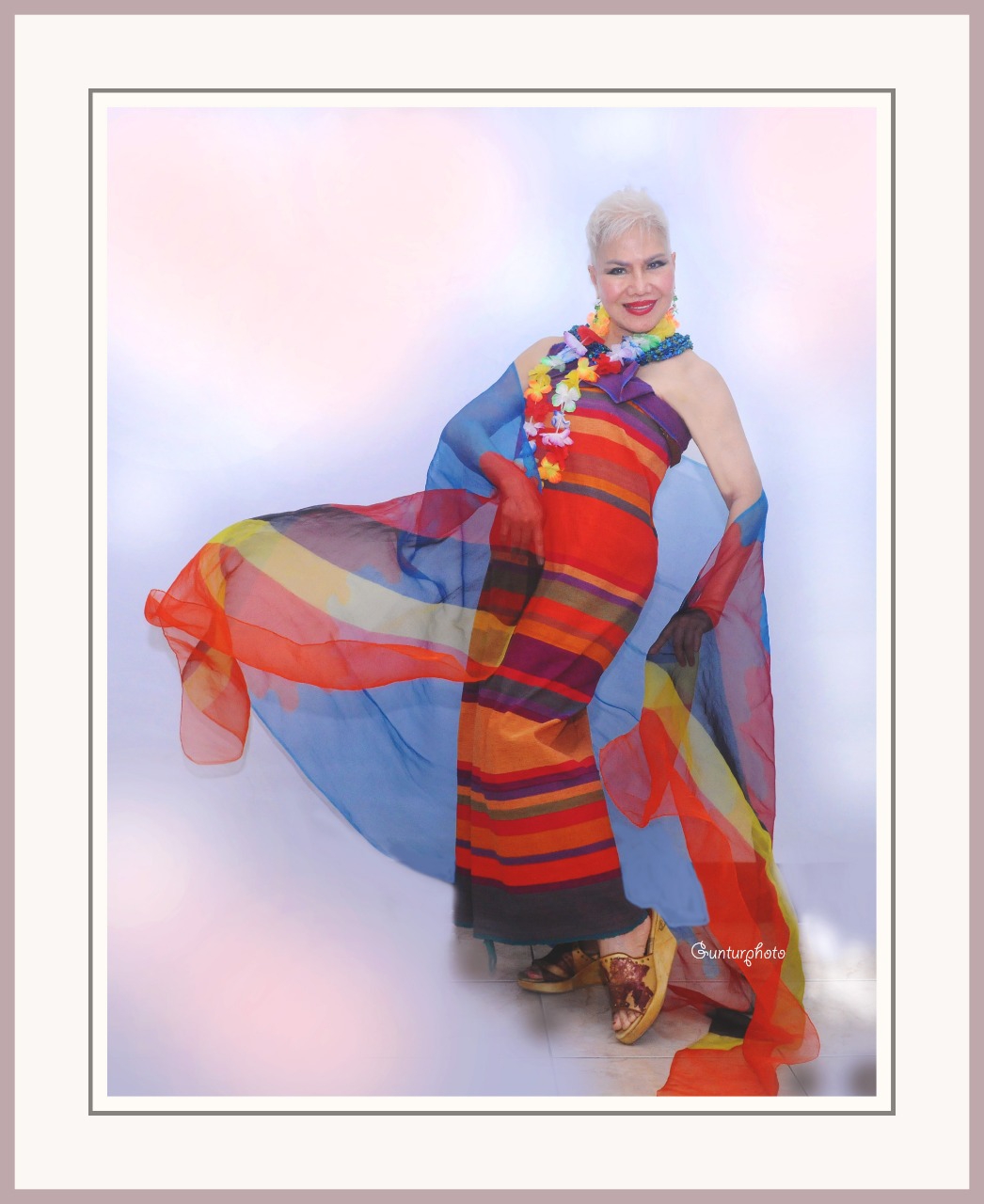 Museum Harry Darsono