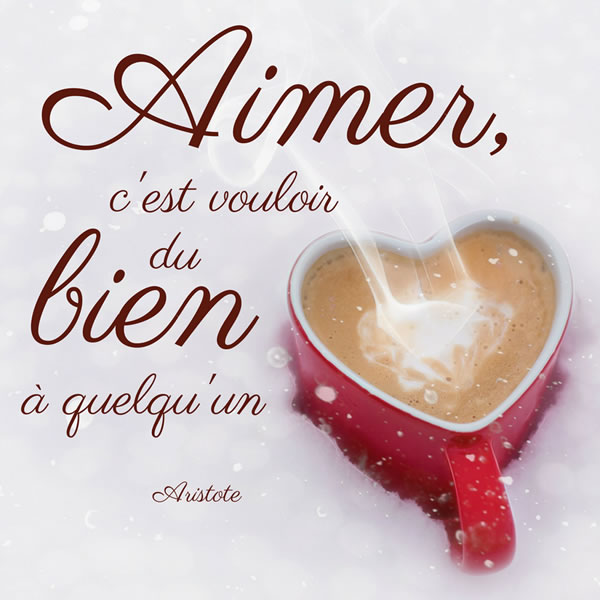 LE COQ PICORE: DÉFINITION DE "AIMER"