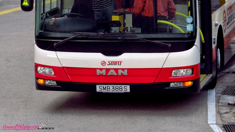 (buses[IN]gapore!): SMRT Buses : MAN NG363F A24/Gemilang (licensed Lion ...