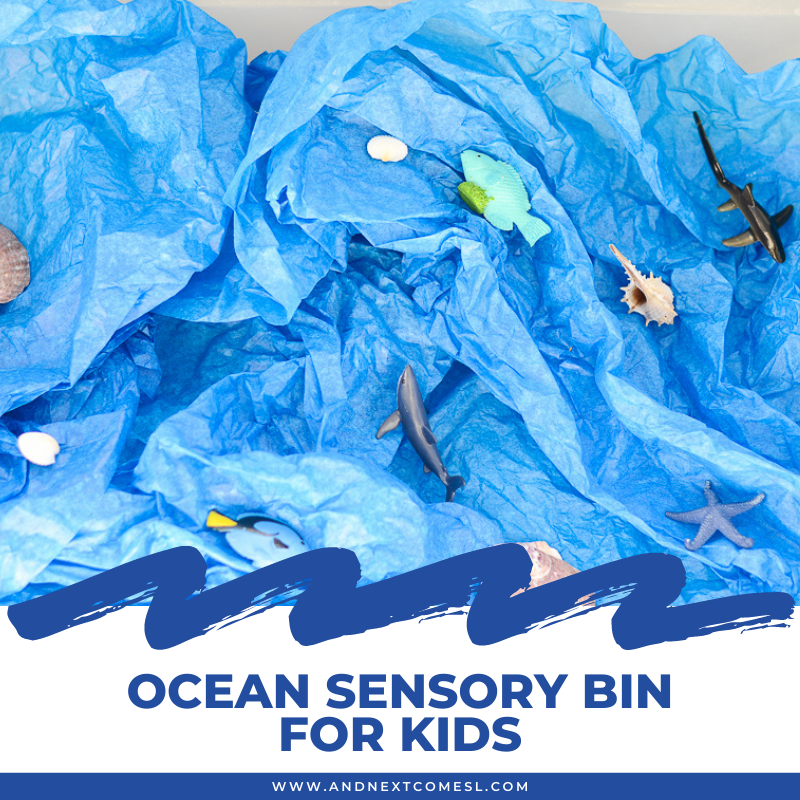 Easy Ocean Sensory Bin for Toddlers & Preschoolers | And Next Comes L ...