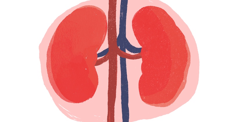 o tratamento da doença renal: Rim aumentado: causa, sintomas e tratamento
