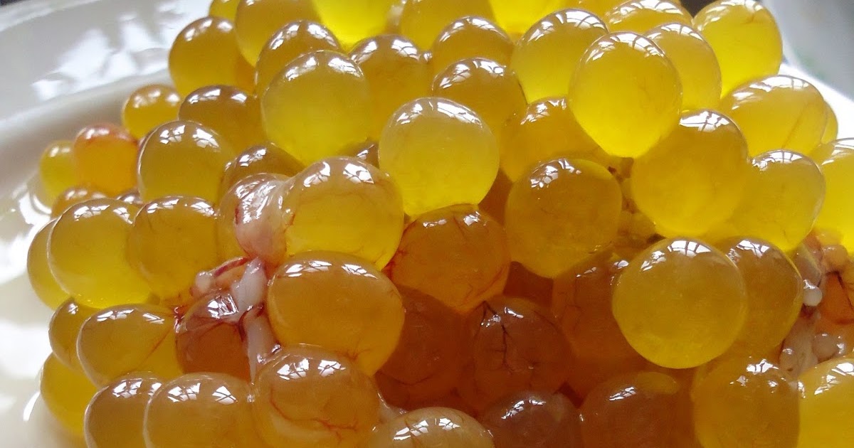 resep masakan pepes telur ikan - Aneka Kreasi Resep Masakan Indonesia