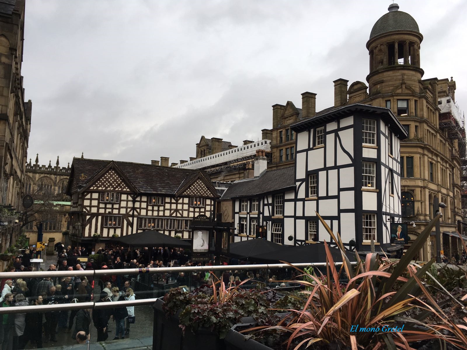 El mono Gretel: 5 Razones para visitar Manchester.