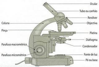 Ciências_Na_Escola: Microscópio