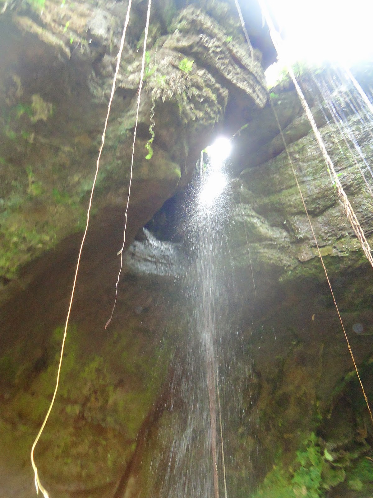 Geo Mistura: Caverna Refúgio do Maroaga e Gruta da Judéia, Presidente ...