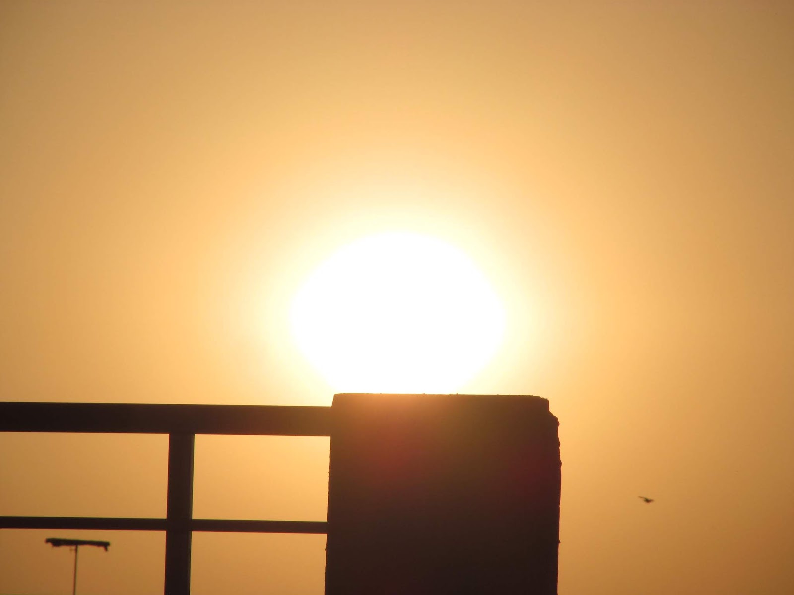 Click the sun, your way! Tips to shoot the best pictures of the sun ...