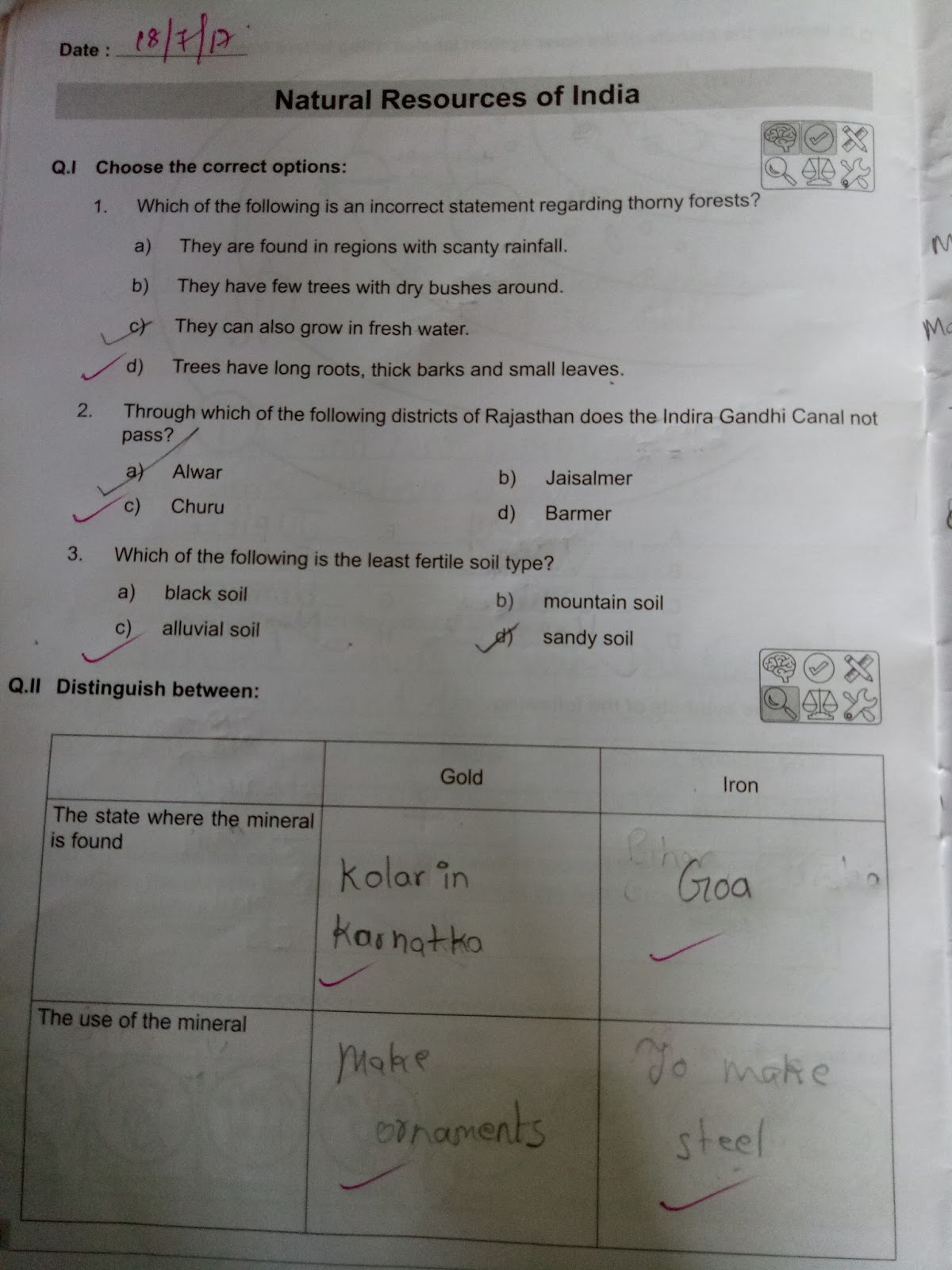 PIS VADODARA STD 4: EVS-Natural resources of India (Workbook Exercise)