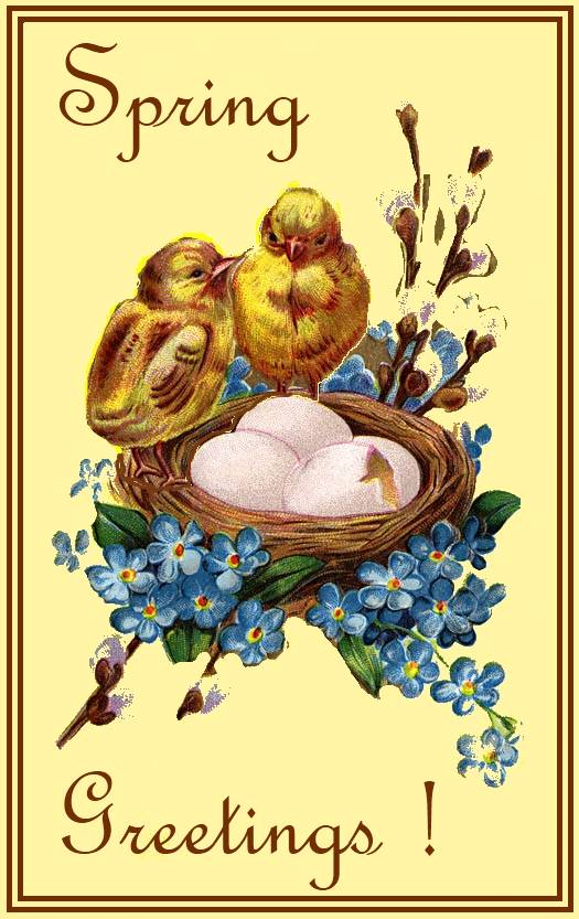 Cathies Sweet Spot: SPRING GREETINGS - PRINTABLE CLIP ART