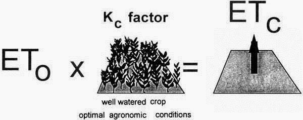 EVAPORATION, TRANSPIRATION & INFILTRATION: EVAPOTRANSPIRATION