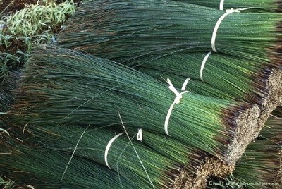 “Difficulty is the excuse history never accepts”