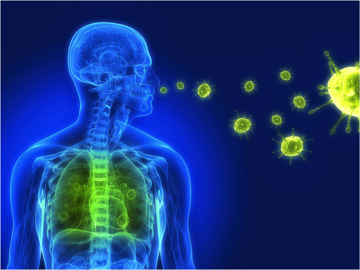 Anatomia Aplicada: Enfermades infecciosas