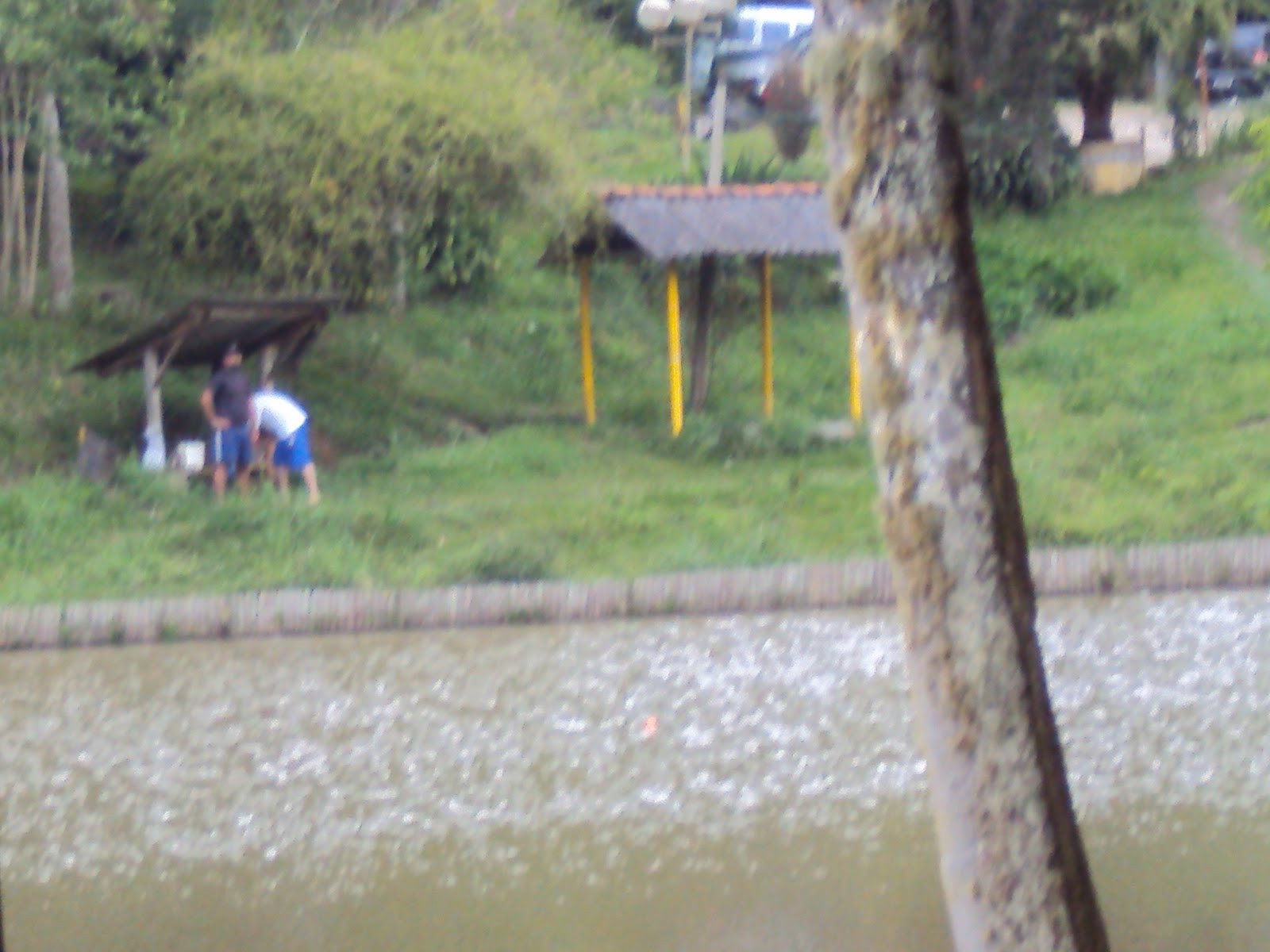 OS PESCADORES TS: pesqueiro triangulo - 03/12/2011