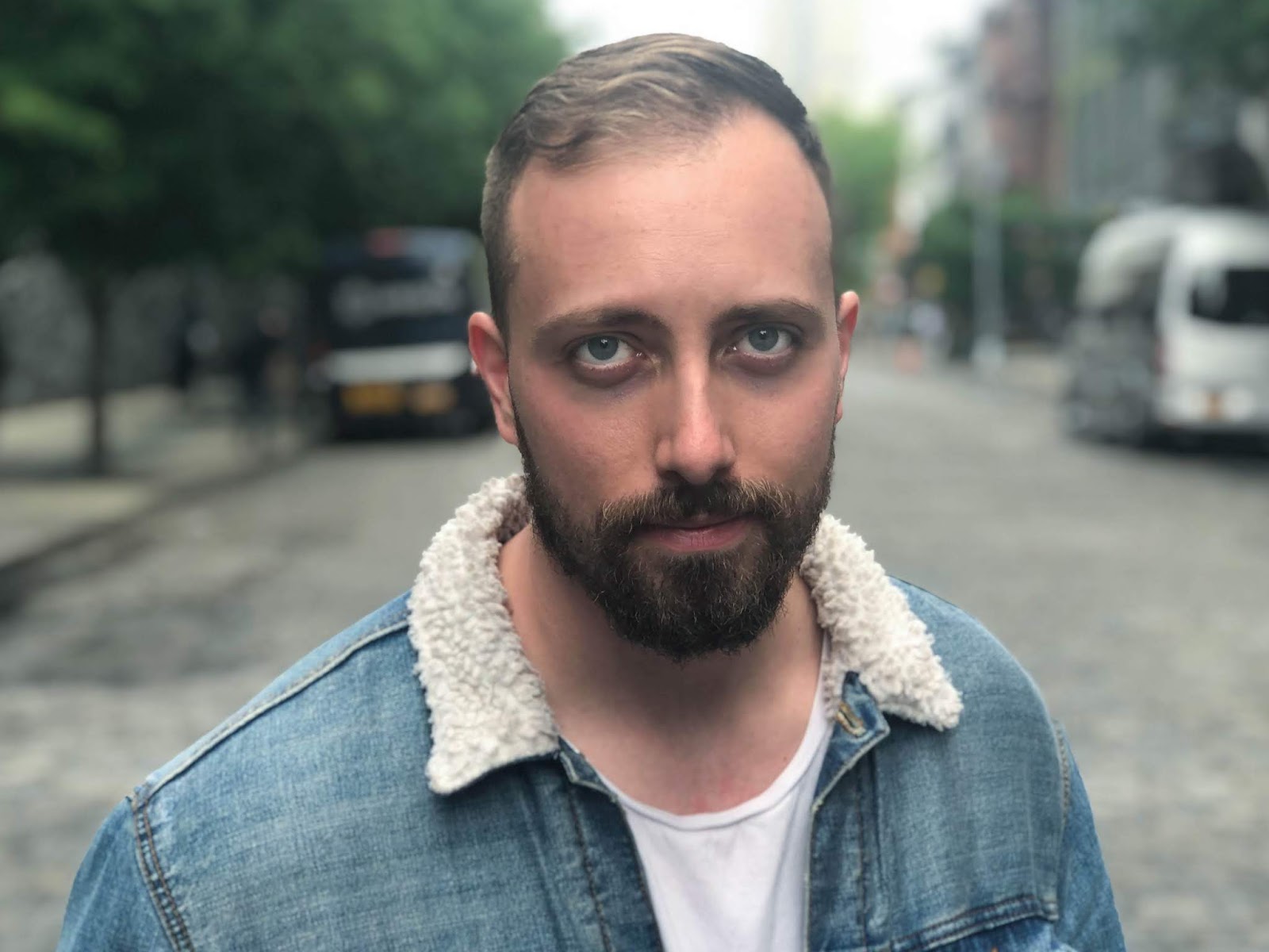 Quick Brown Fox: “Scott Library” by Lucas Carravetta