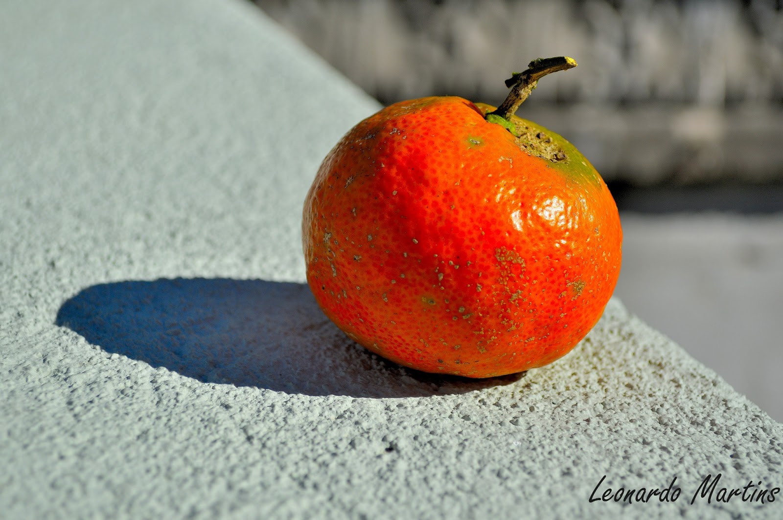 Imagens - Leonardo Martins: Bergamota