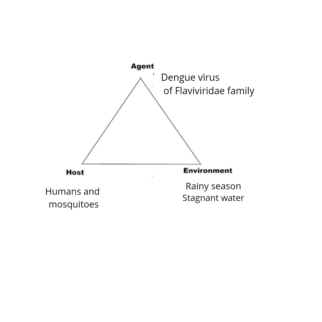 Dengue - Symptoms, Causes, Pathophysiology, Treatment, Prevention