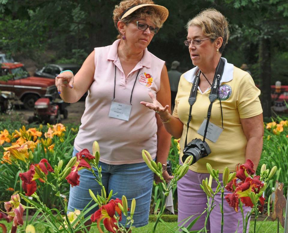Lewis Daylily Garden: January 2020