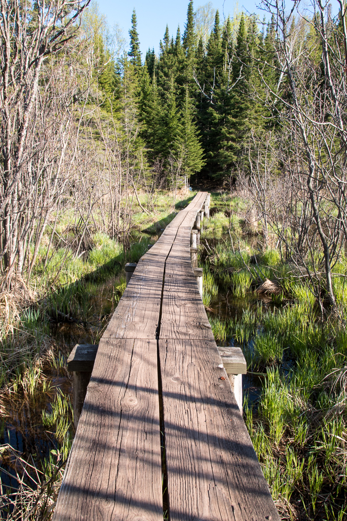 Cliffs and Ruins: Isle Royale 2019, Day 3: Moskey Basin to Daisy Farm ...