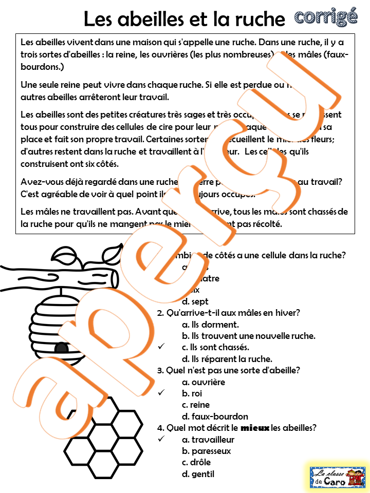 la classe de caro.: Saison: Le printemps