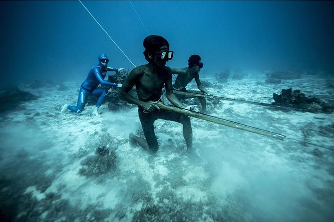 A breathtaking underwater freediving video shows the Philippines ...
