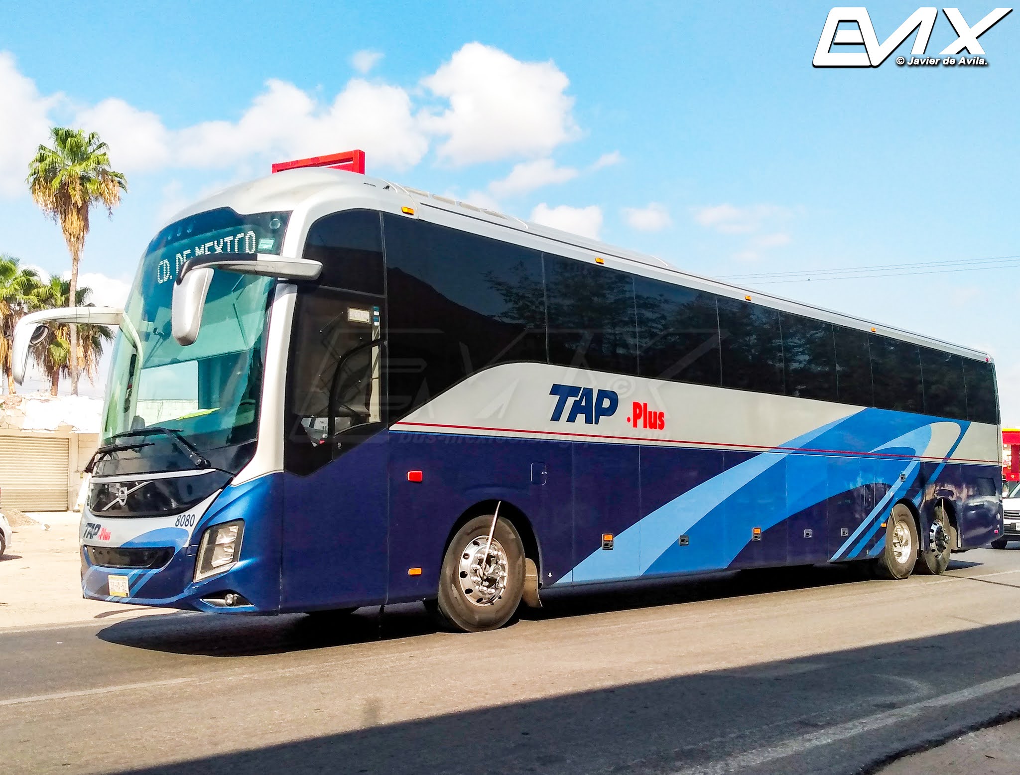 Transportes y Autobuses del Pacífico: TAP Plus - Bus-México