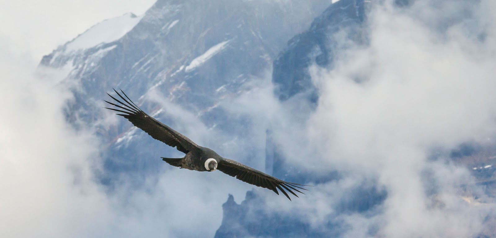 Por fragas e pragas...: Machu Picchu ... a cidade perdida dos Incas (1)